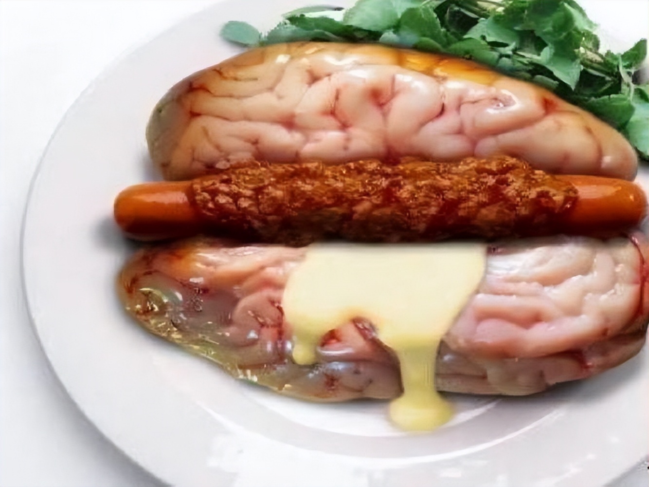 8 of the most "exotic" delicacies - iNEWS