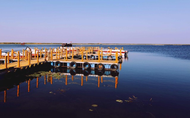 Recently, Xinjiang's “seafood” harvest has become popular - iMedia