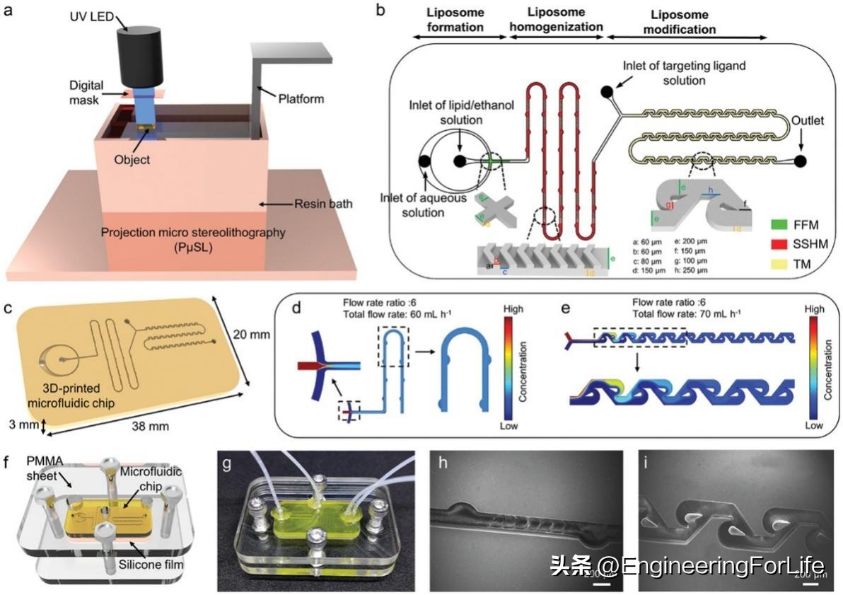 "Small": One-step formation of targeted liposomes in a multifunctional ...