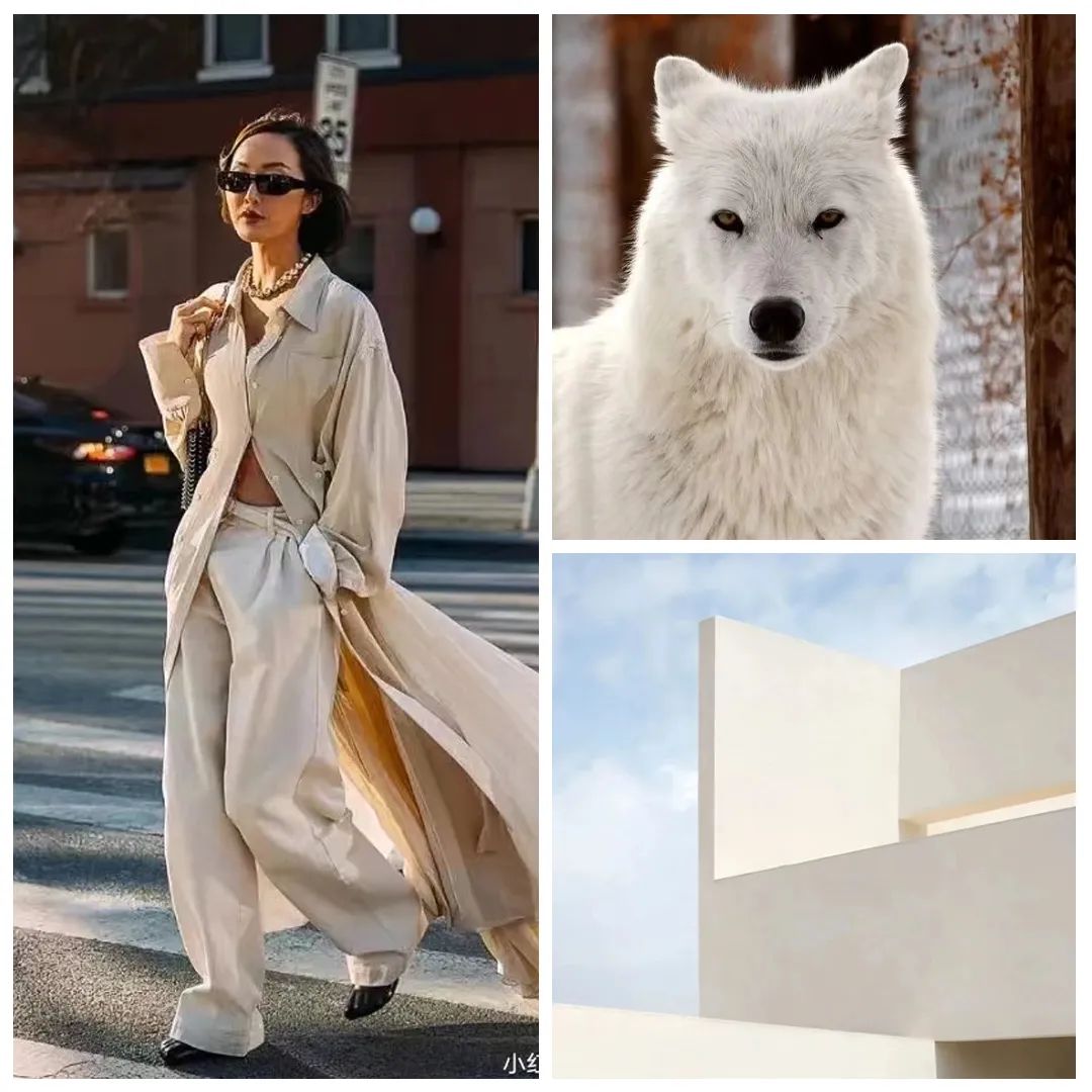 2022 autumn and winter core classic colors, inject a sense of ...