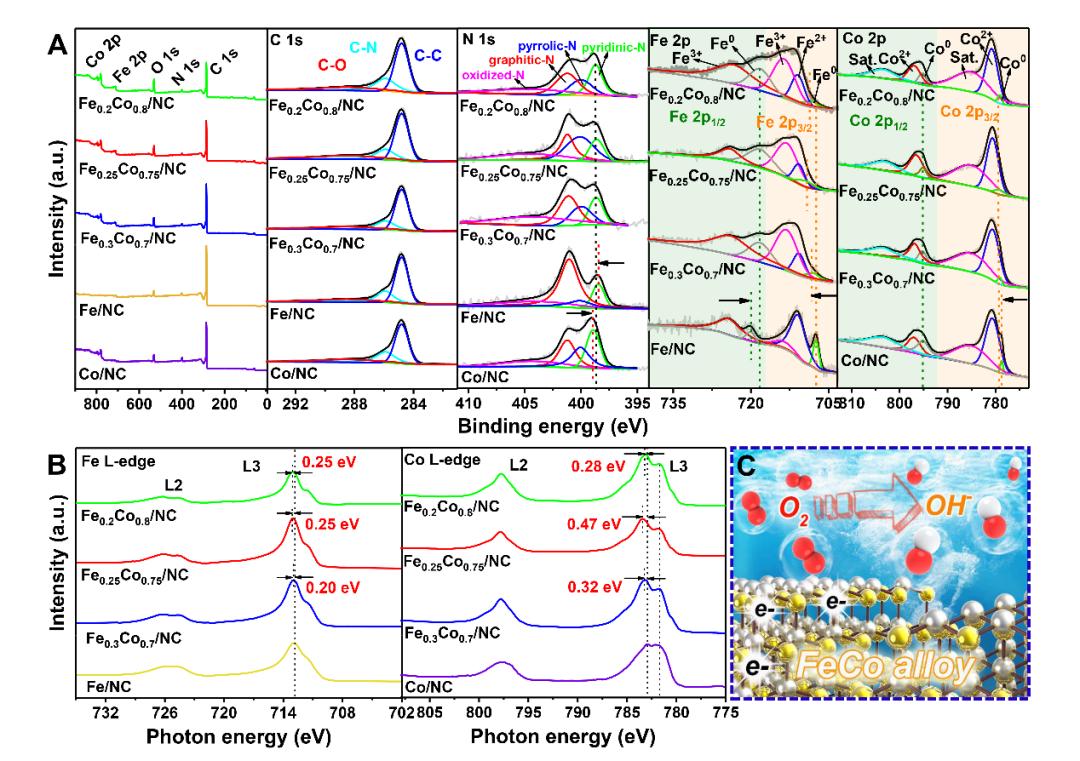 Precise tuning of the electronic structure of FeCo alloy catalysts for ...