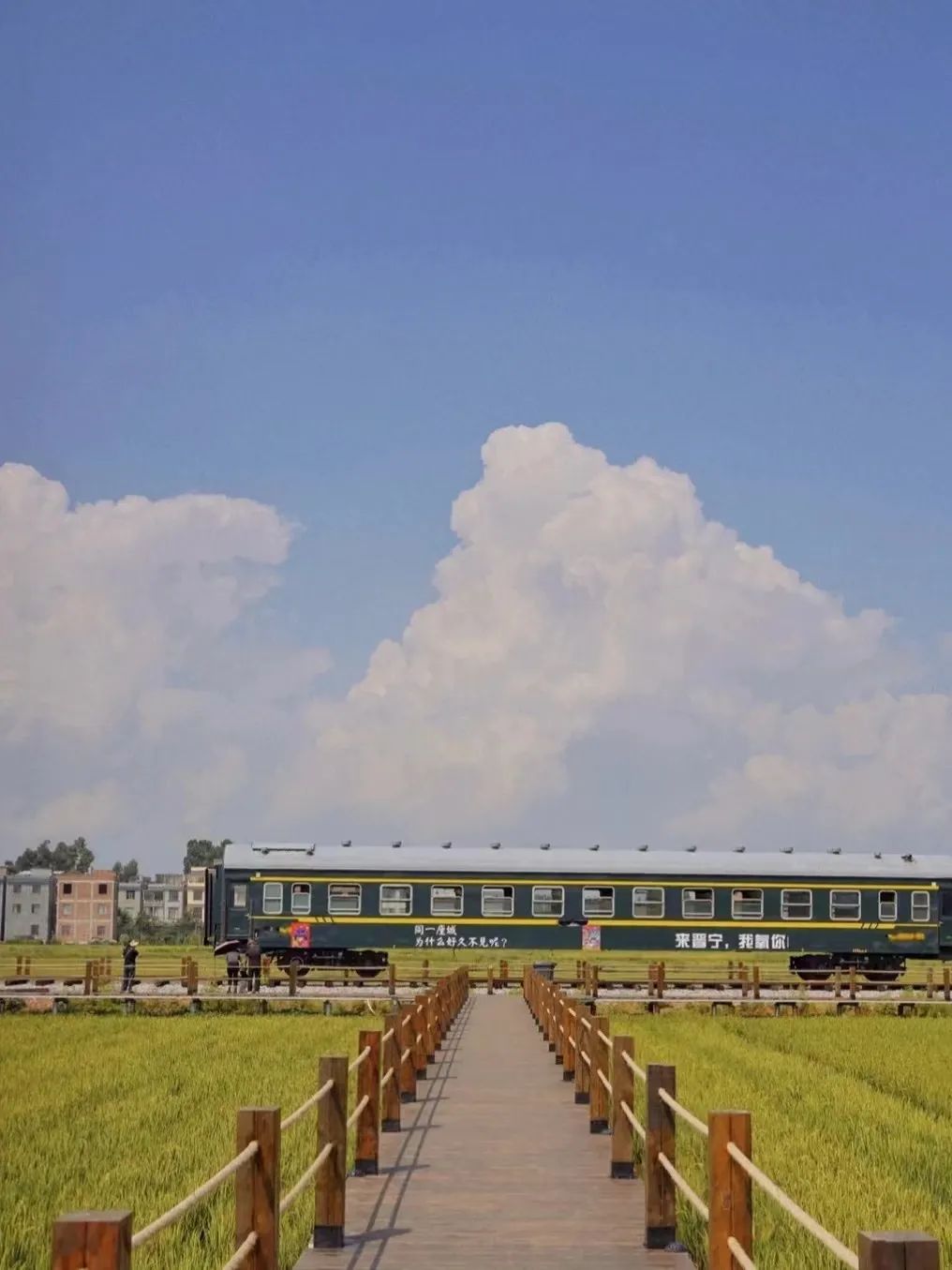 These three beautiful rice fields in Kunming are Hayao Miyazaki's ...
