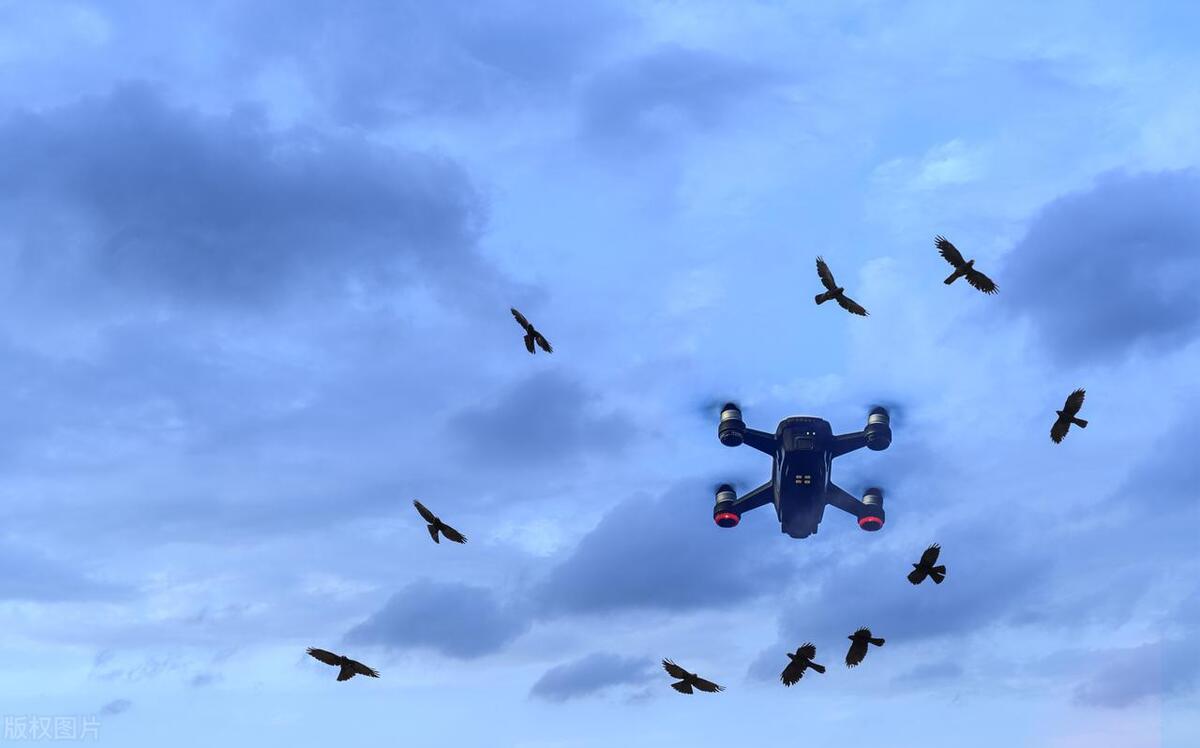 In-depth analysis of various fields of drones - iNEWS