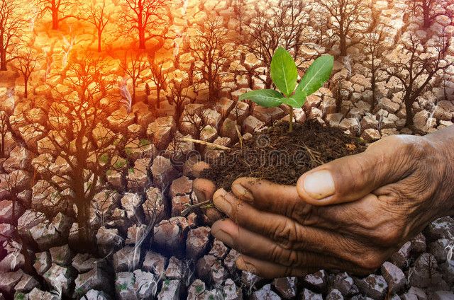 Earth's energy imbalance: the most basic global indicator of climate ...