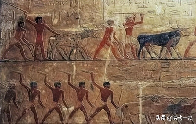 Nubian Civilization: Africa's Ancient Treasures - iMedia