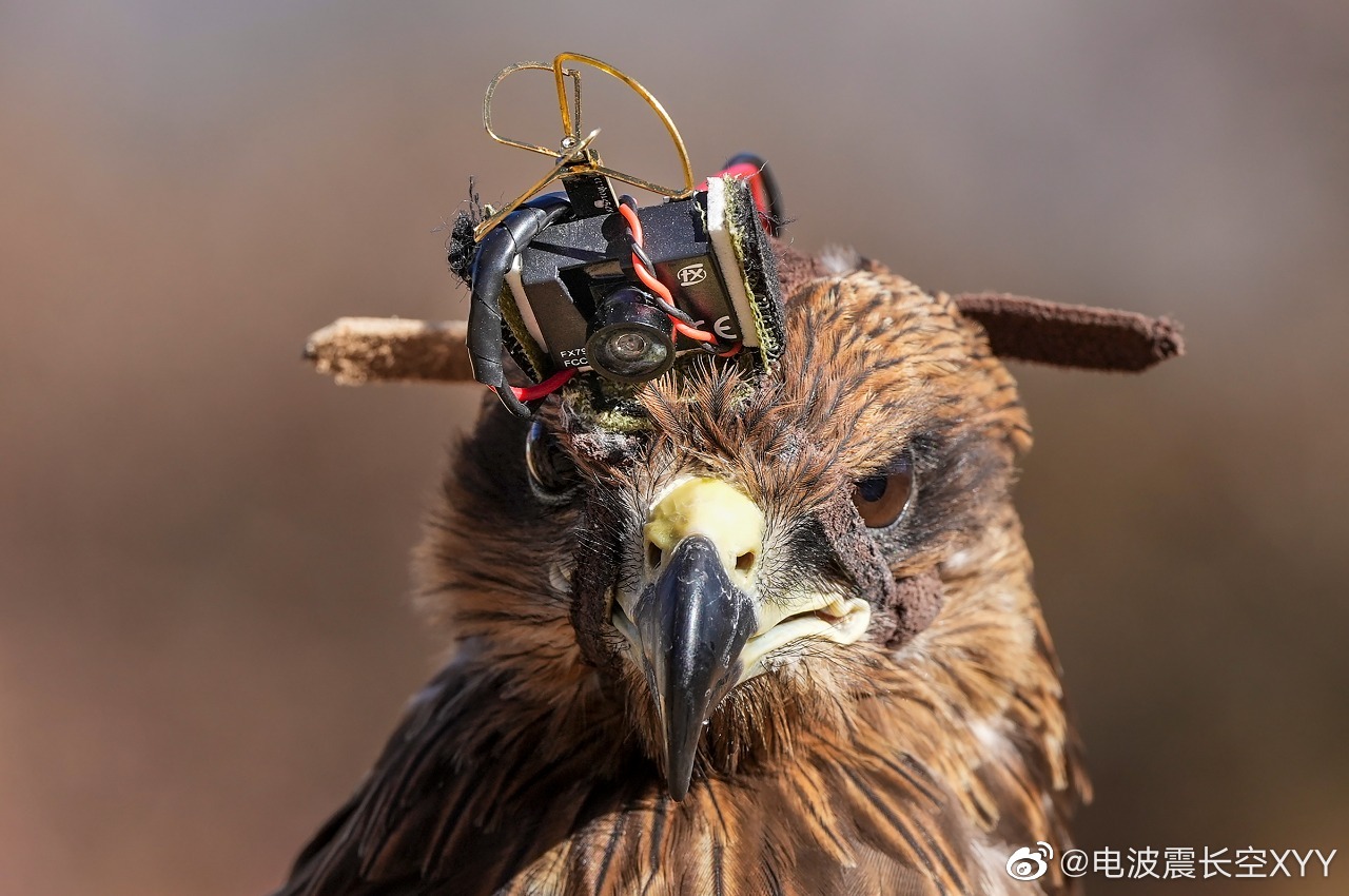 The U.S.-India military exercise India has developed a new anti-drone ...