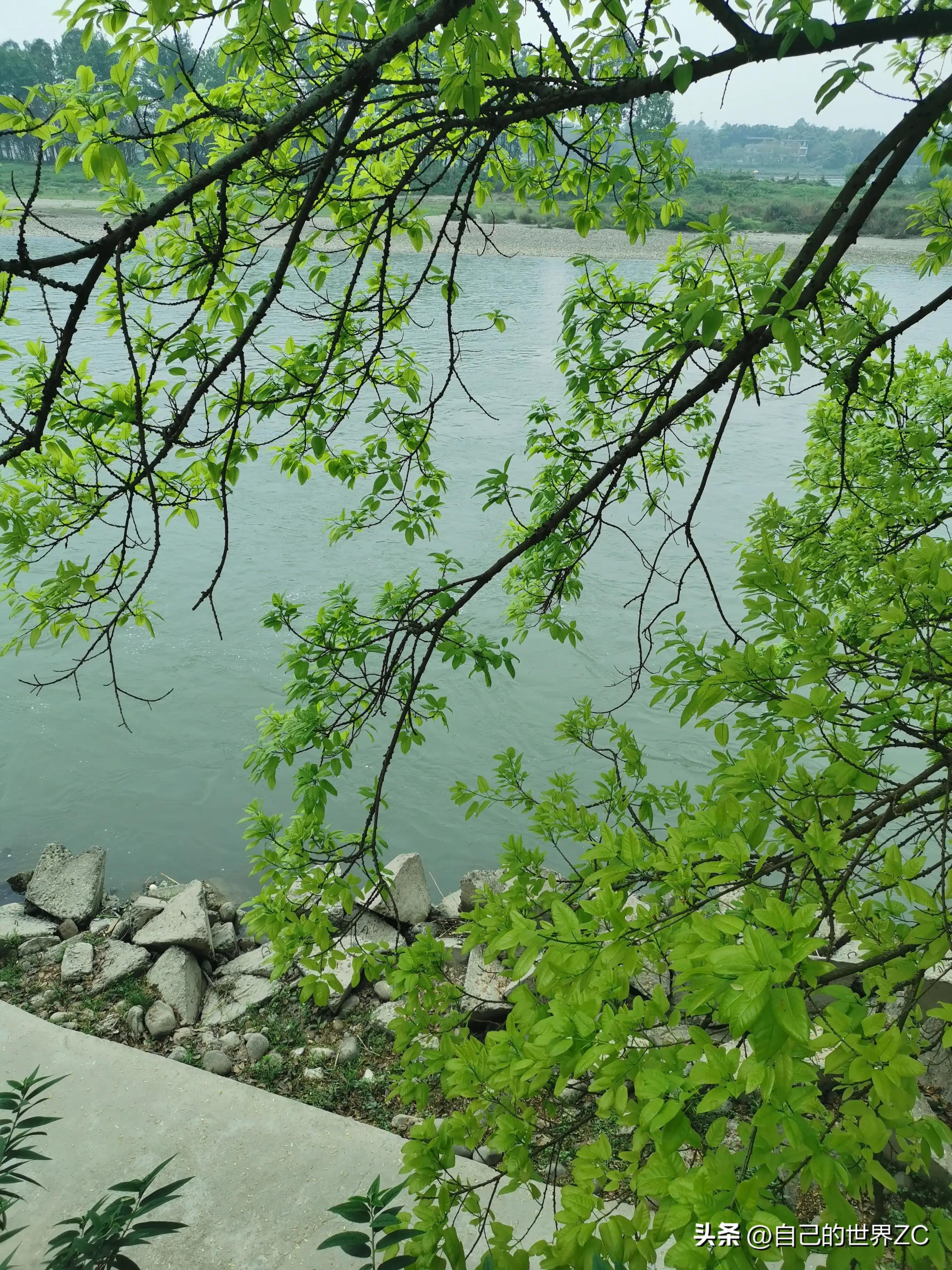 spring outing - iMedia