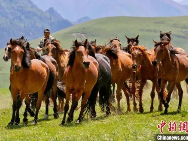 What are the main aspects of the national strength of the Tang Dynasty ...