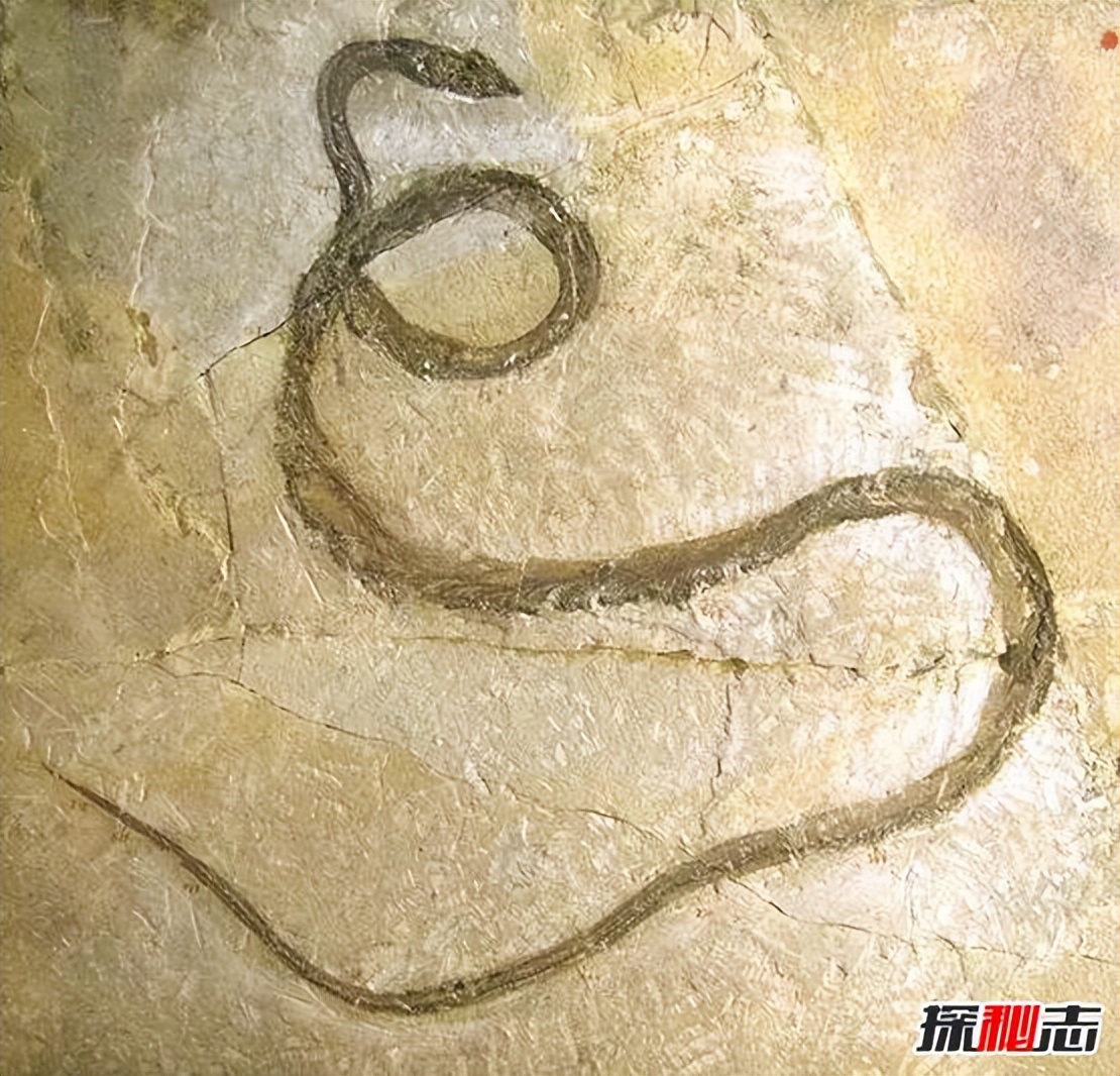 Prehistoric giant ancient cup snake, a giant sea snake with a body ...