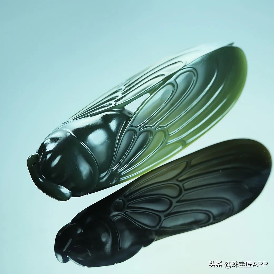 To live as admiration, to die as a gift? Talk about China's 5,000-year jade cicada culture! - iNEWS