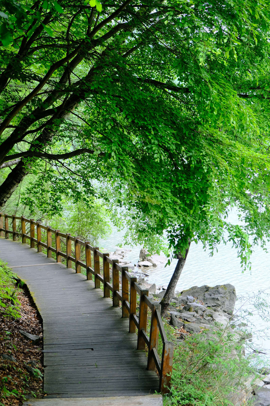 Dig and dig and dig in the beautiful Songping Ditch! - iMedia