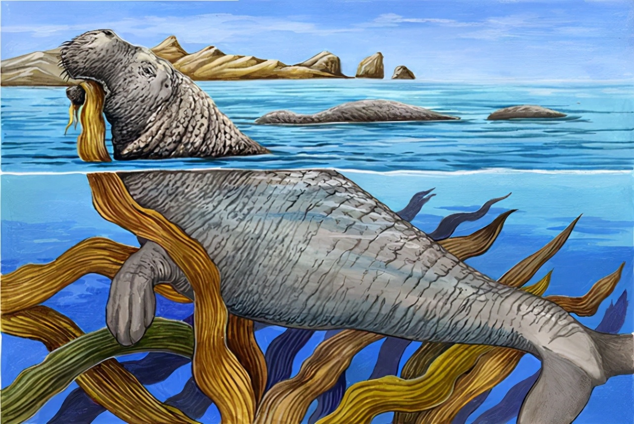 Sea cow: Animal declared extinct after just 27 years of discovery - iNEWS