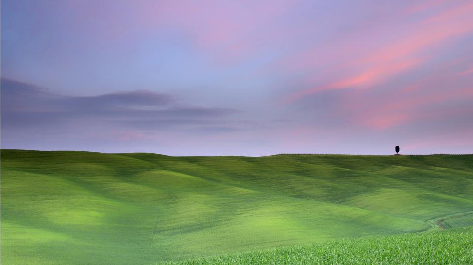 Where the oxygen content is low, is the concentration of negative ...