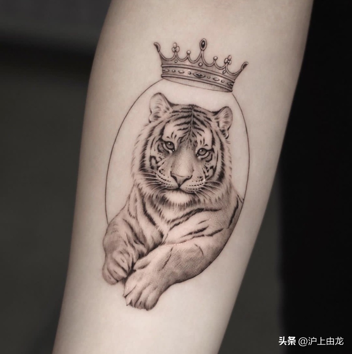 Today may subvert your cognition, a big wave of small tiger tattoos ...