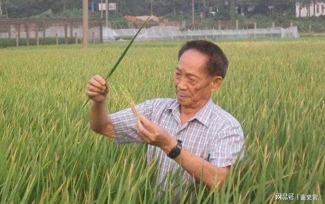 Yuan Longping's hybrid rice is famous all over the world, why did not ...