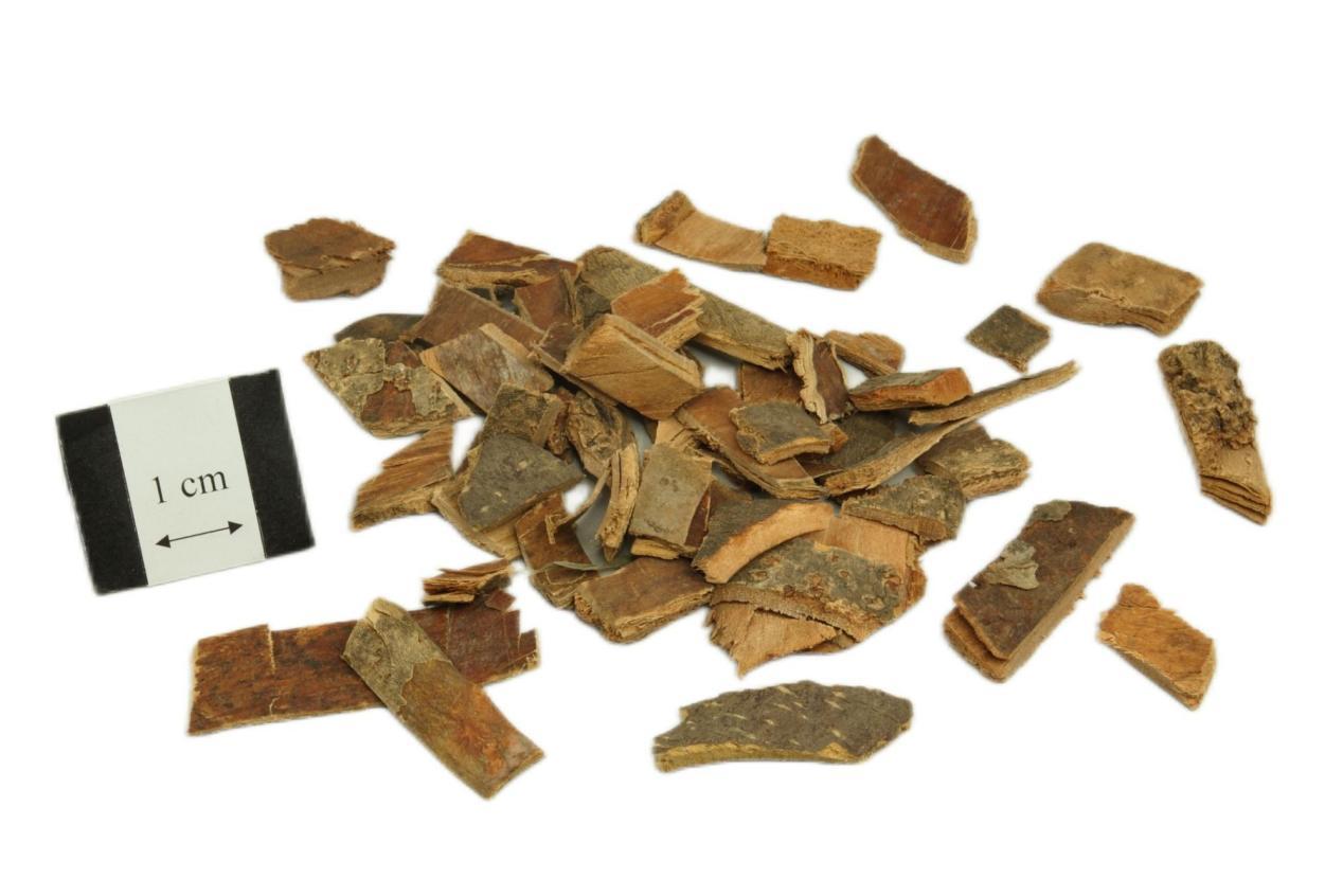 "Shen Nong Shi Yao" Qin Pi - iNEWS