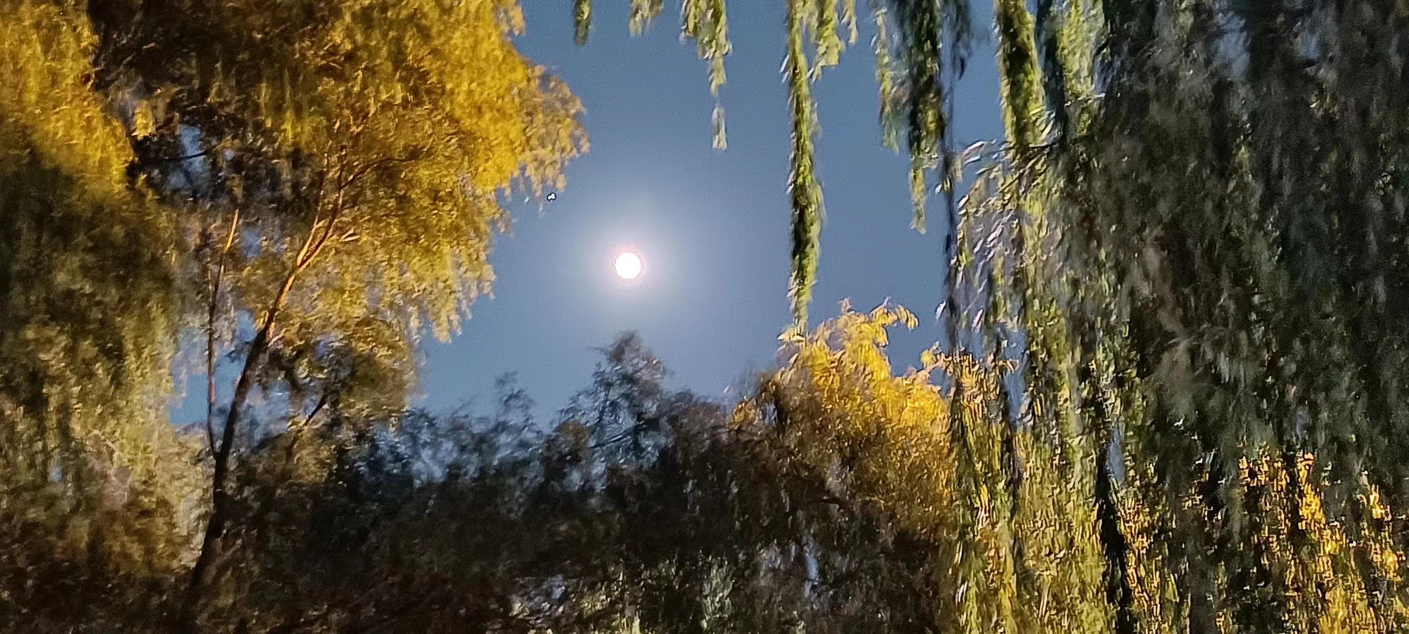 A different kind of moat: Mid-Autumn Festival looking for the moon and ...