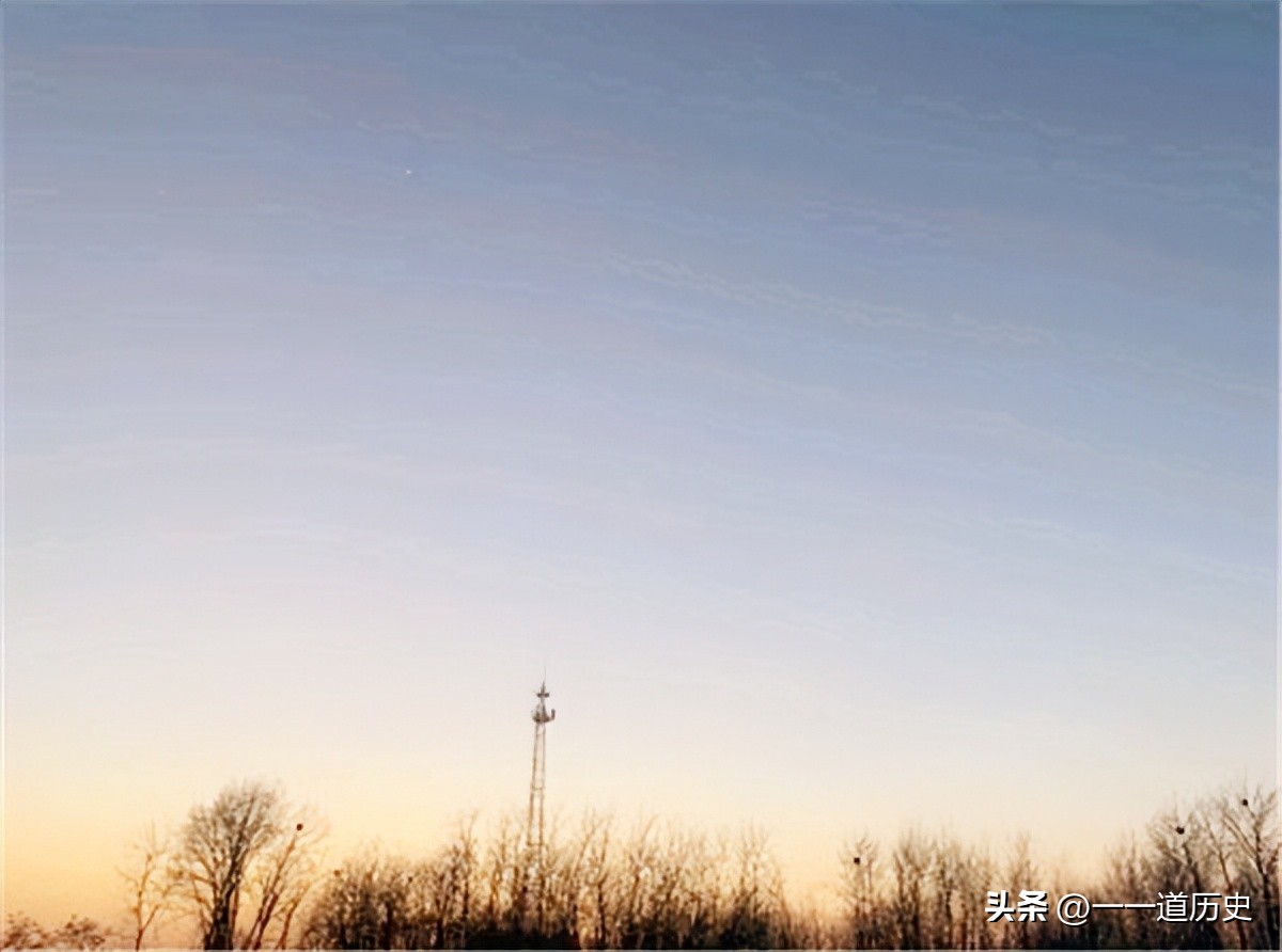 What are the "Four Great Ghost Trees" and why are they called "Ghost ...