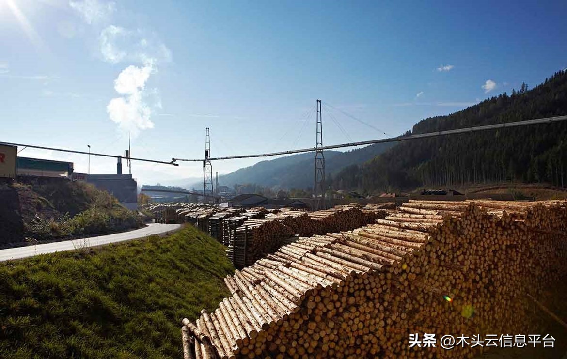 Finnish timber trade reaches record high - iNEWS