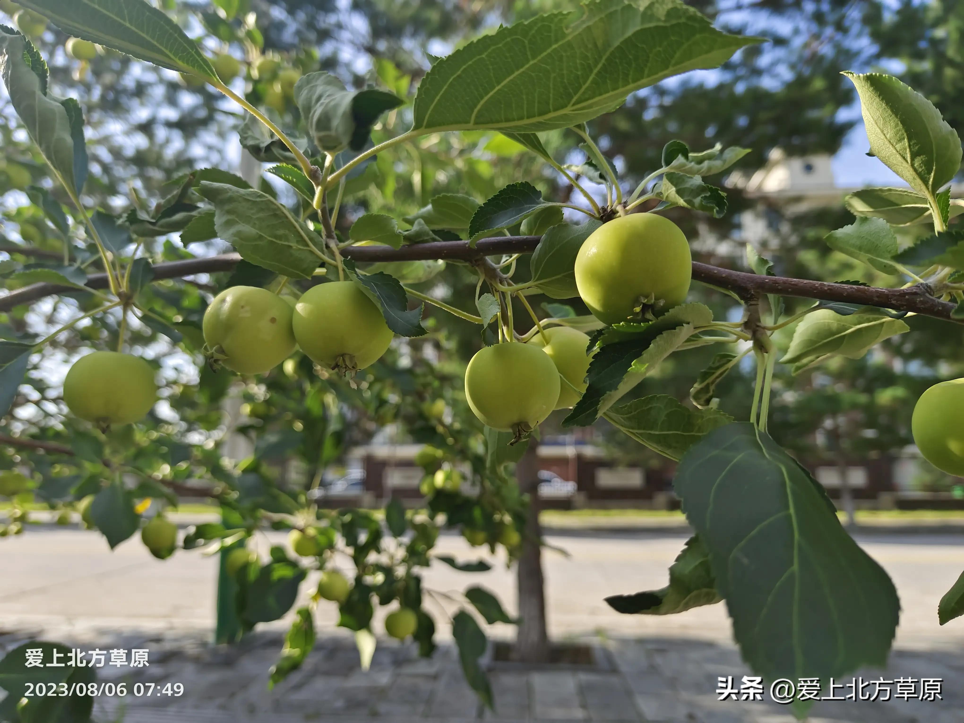 Day 36/365: Dialogue is language, rhetoric, and the lubricant of life ...