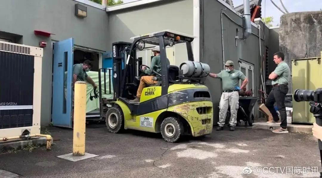 The National Treasure Yaya Arrives in China Today - iMedia