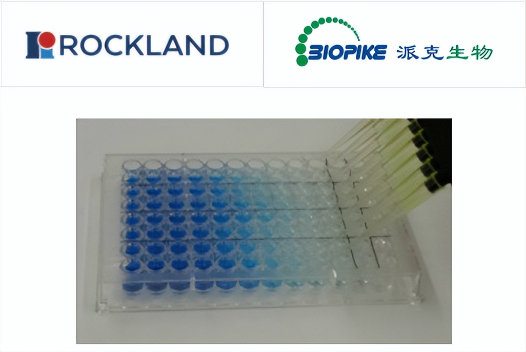 Parker Biotech Rockland TMB ELISA Peroxidase Substrate - iNEWS