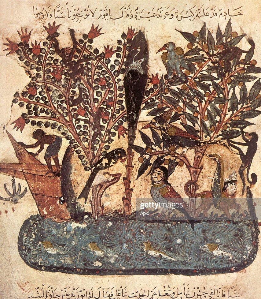 What technology did medieval Europeans rely on for navigation? - iNEWS