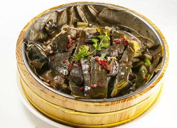 11 ways to make turtles - iNEWS