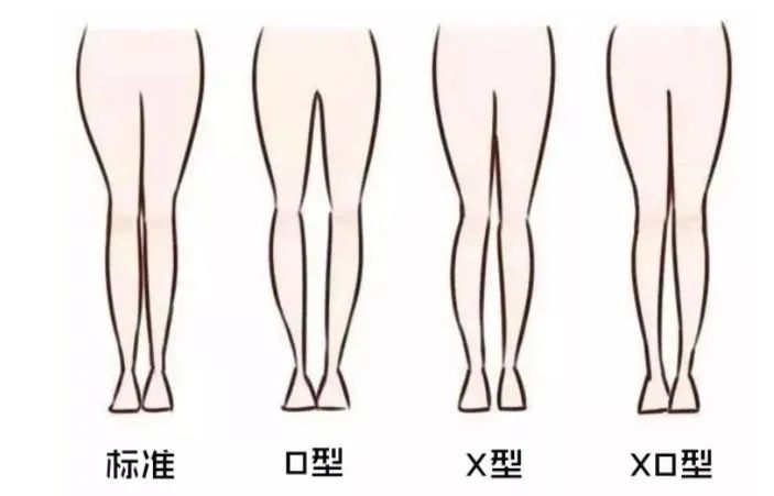 Come in and see the legs!What kind of leg are you? - iNEWS