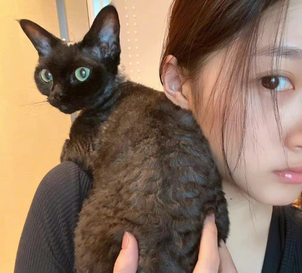Guan Xiaotong takes a selfie with his cat and his face, so beautiful!The stylist GET is right ...