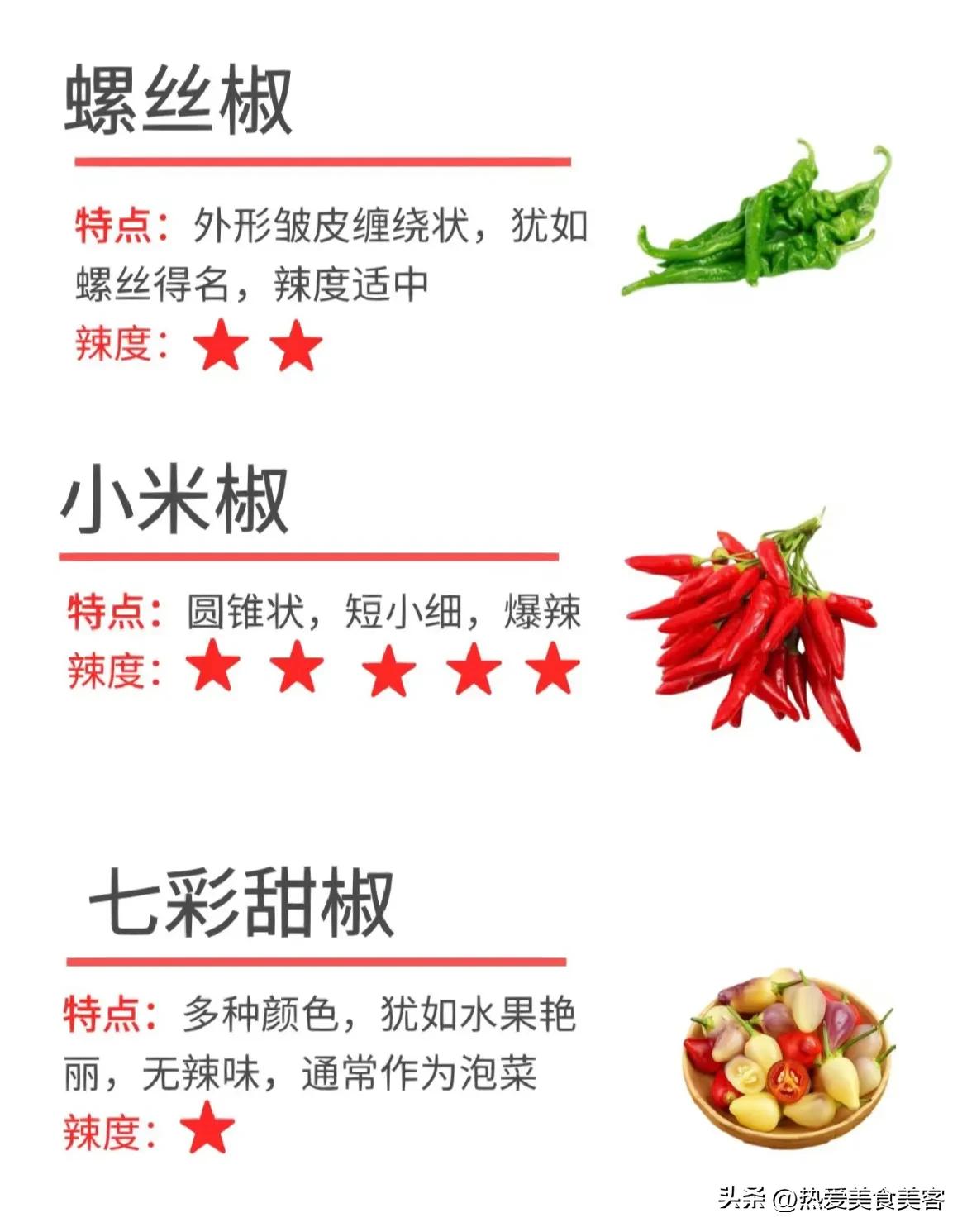 Common green and red pepper varieties and their differences - iMedia