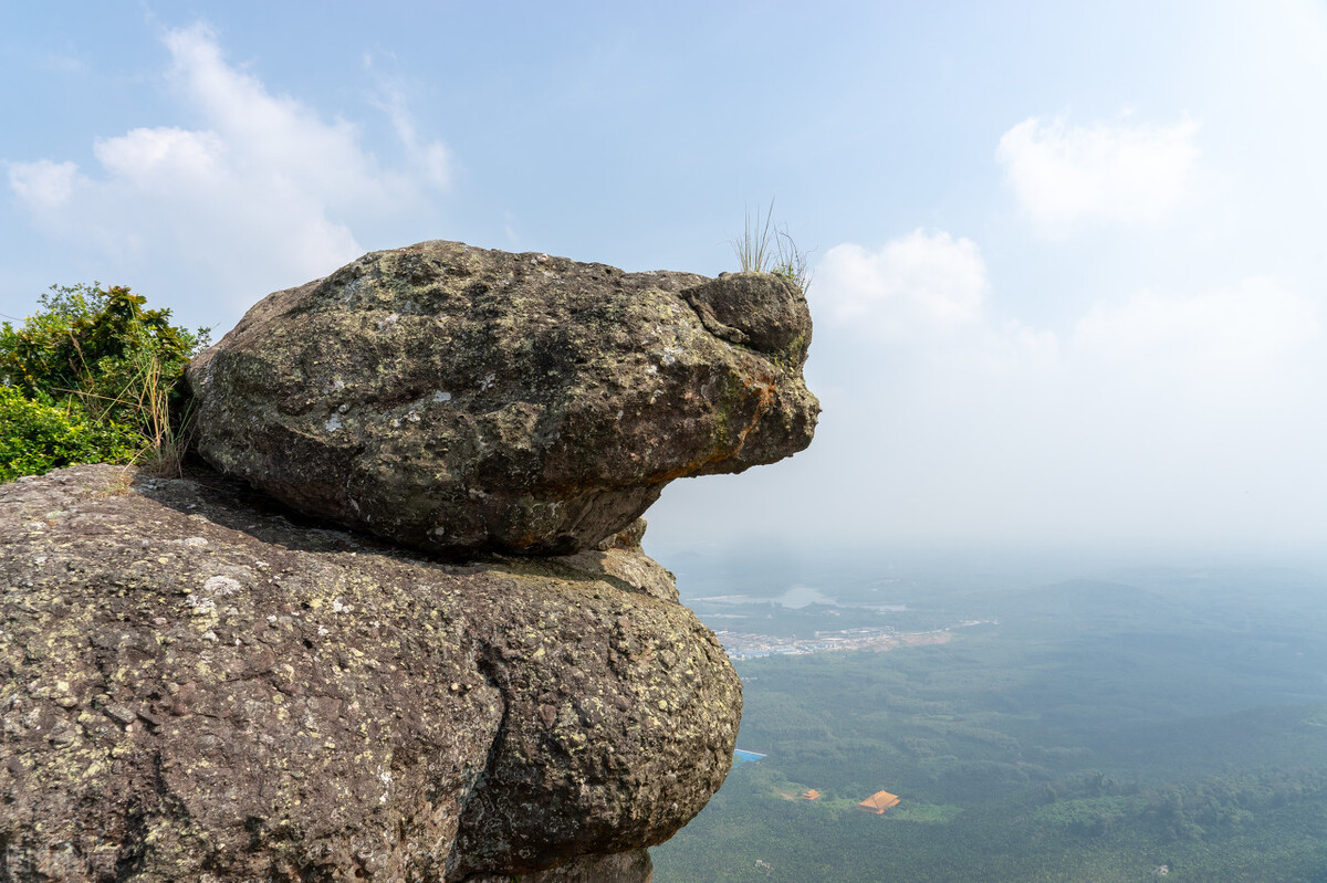 The legend about the castration of Hainan mountain pigs - iNEWS
