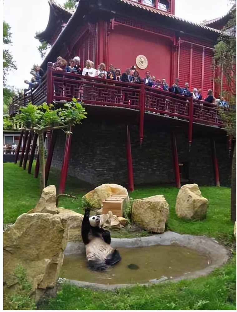 The countdown to the return of Yaya, the giant panda in the United ...