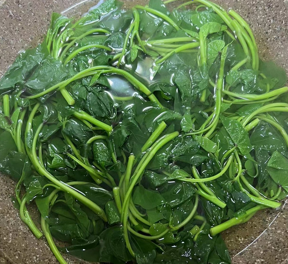 The cold sweet potato leaves that you have never eaten are fresh and ...