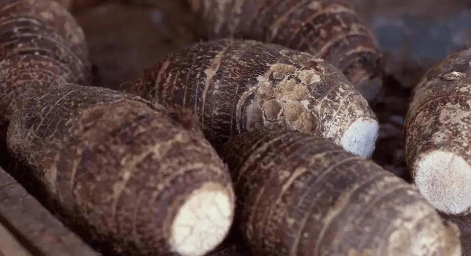 Are these reasons not enough to advise you to eat taro? Eat quickly in ...