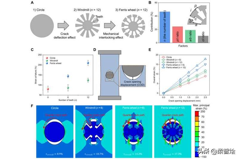 Stretchable electronic transistor array structures capable of ...