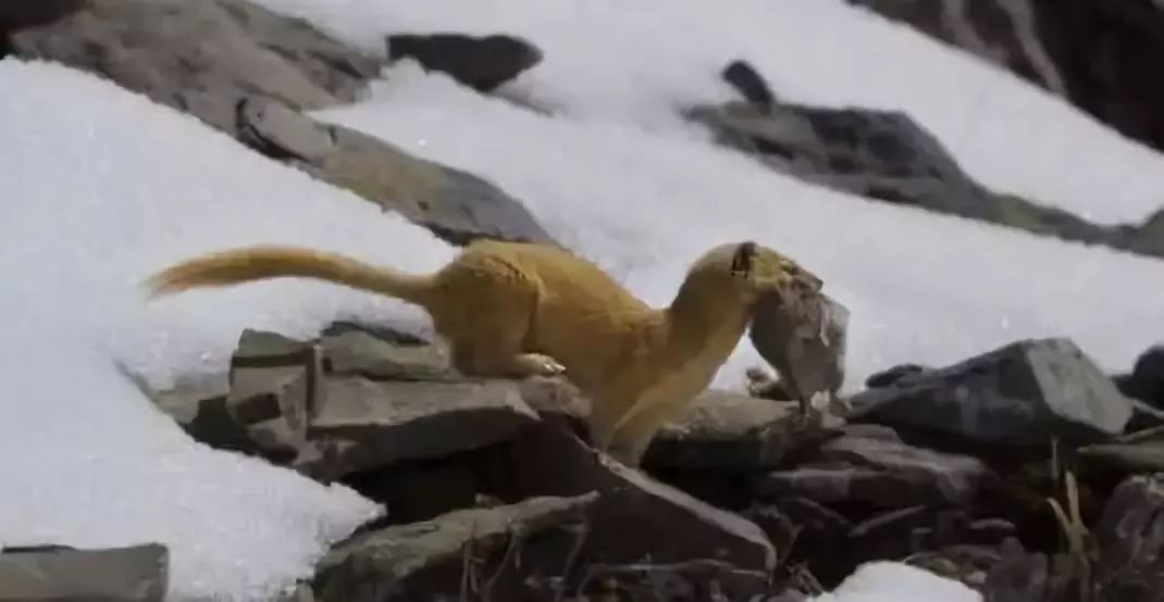 The old man in the village experienced it himself, was seriously ill ...