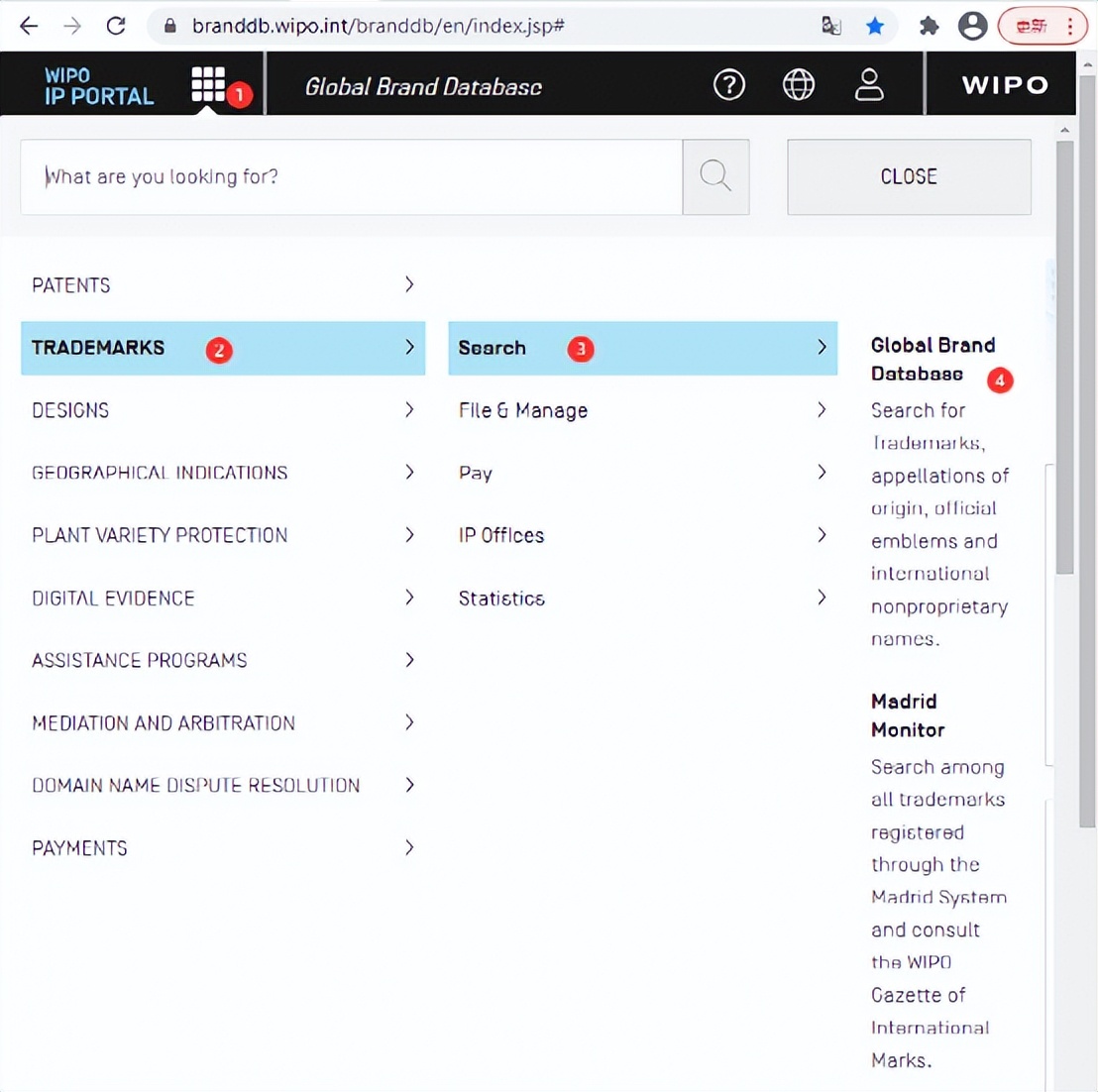 How to Lookup International Trademarks - iNEWS