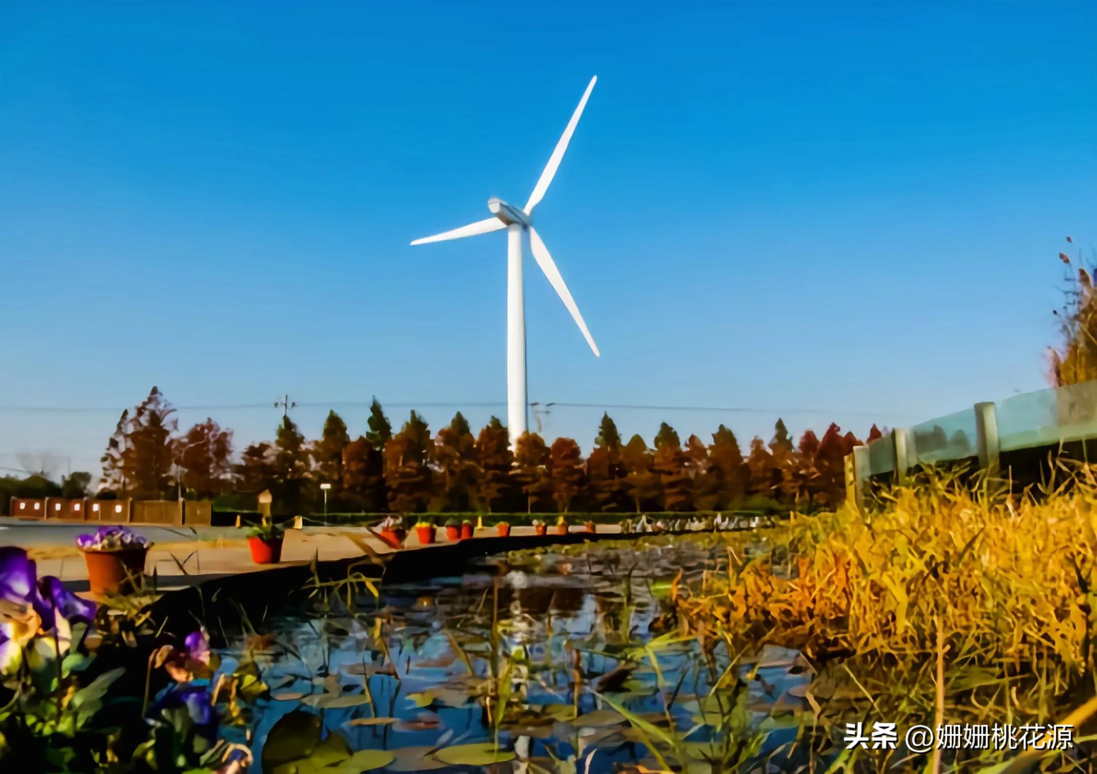 The most livable island around Jiangsu, Zhejiang and Shanghai - iMedia