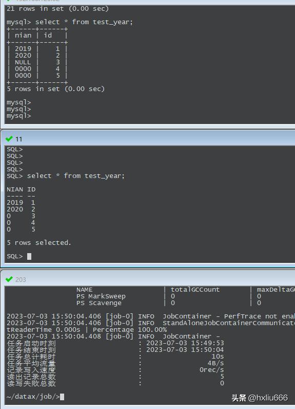 Datax 使用過程中碰到的一個「BUG」？ - 資訊咖