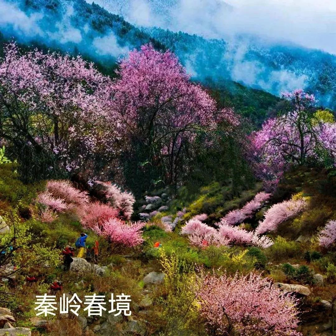 Chinese Dragon Vein • The mighty Qinling Mountains - iNEWS