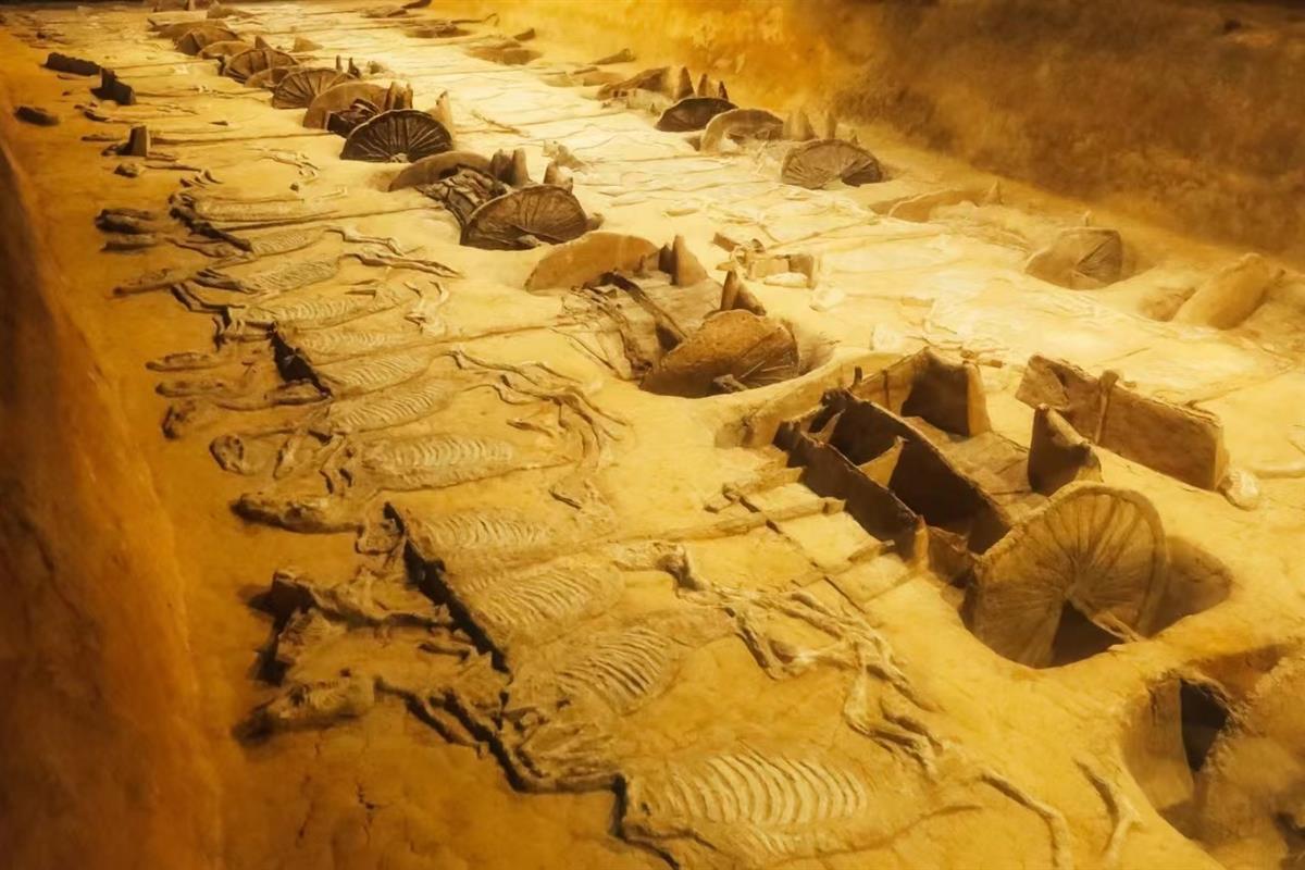 "There are terracotta warriors and horses in the north, and Xiong's ...