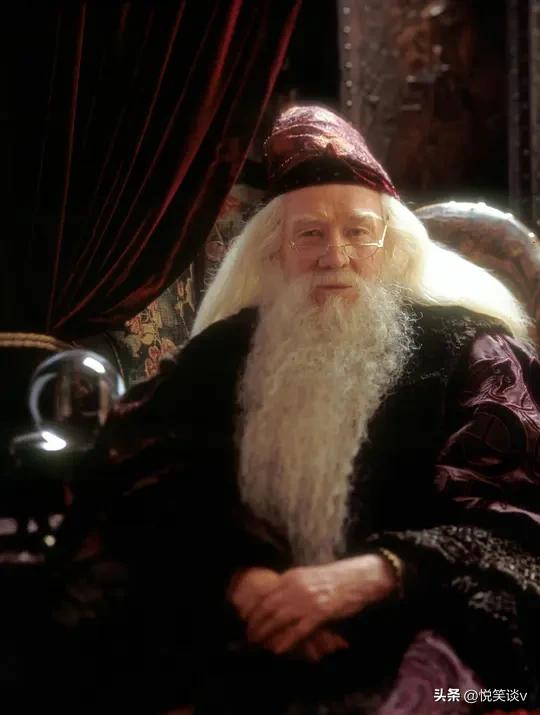 Artistic Appreciation of "Harry Potter" Movie: The Ingenious Handling ...