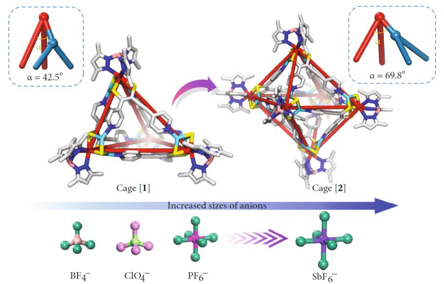 A New Supramolecular Deformable Polyhedral Cage Assembly Strategy - iNEWS