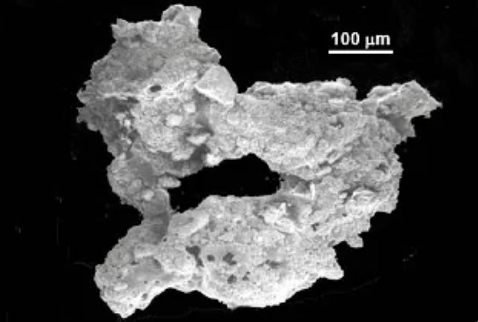 Is the Moon "Toxic"?After the American astronauts landed on the moon ...