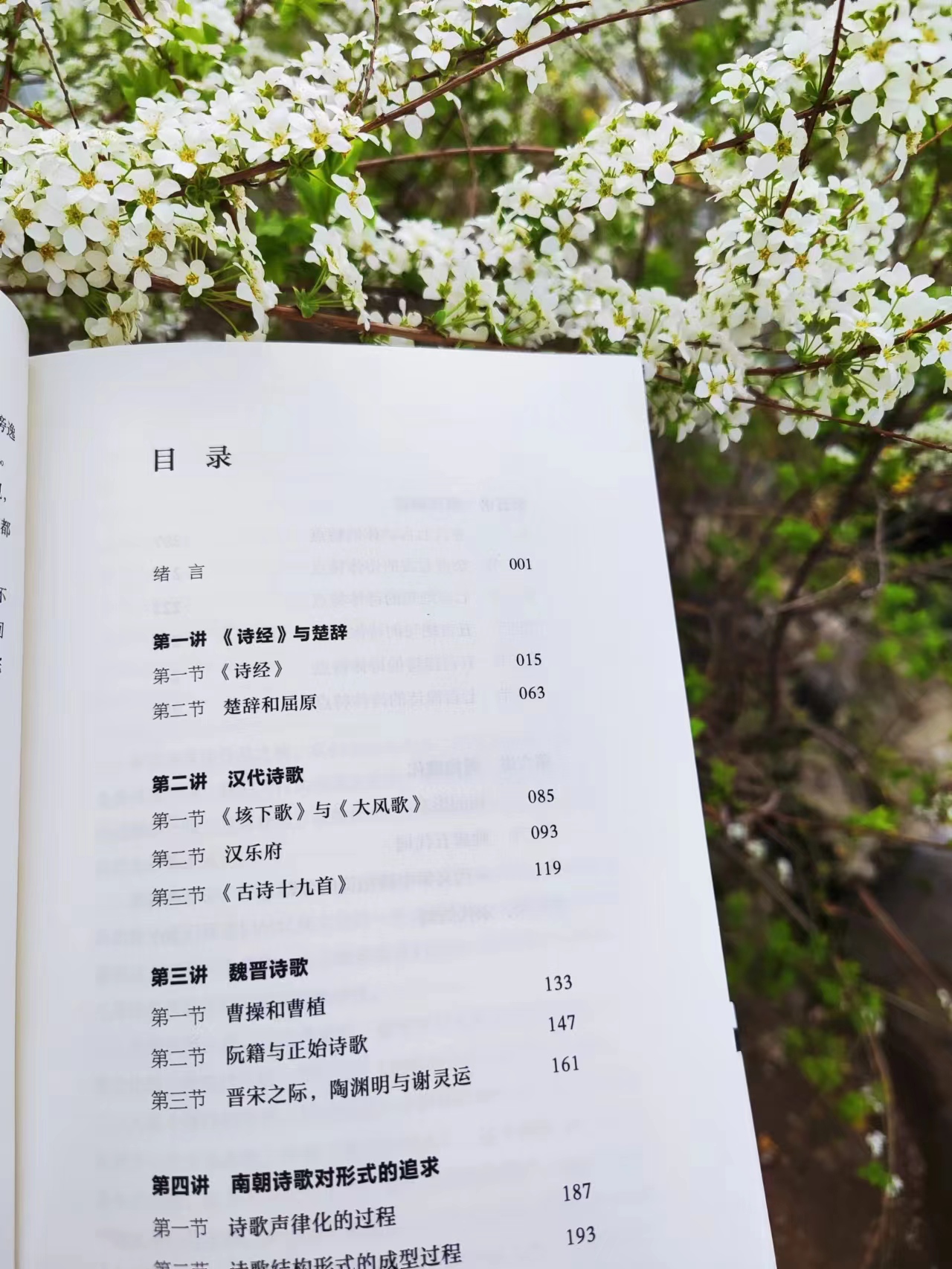 Luo Yuming: Experience Fudan Master Classes in person - iMedia