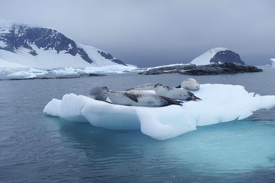 How the ice core climate is formed, through the study of the ice core ...