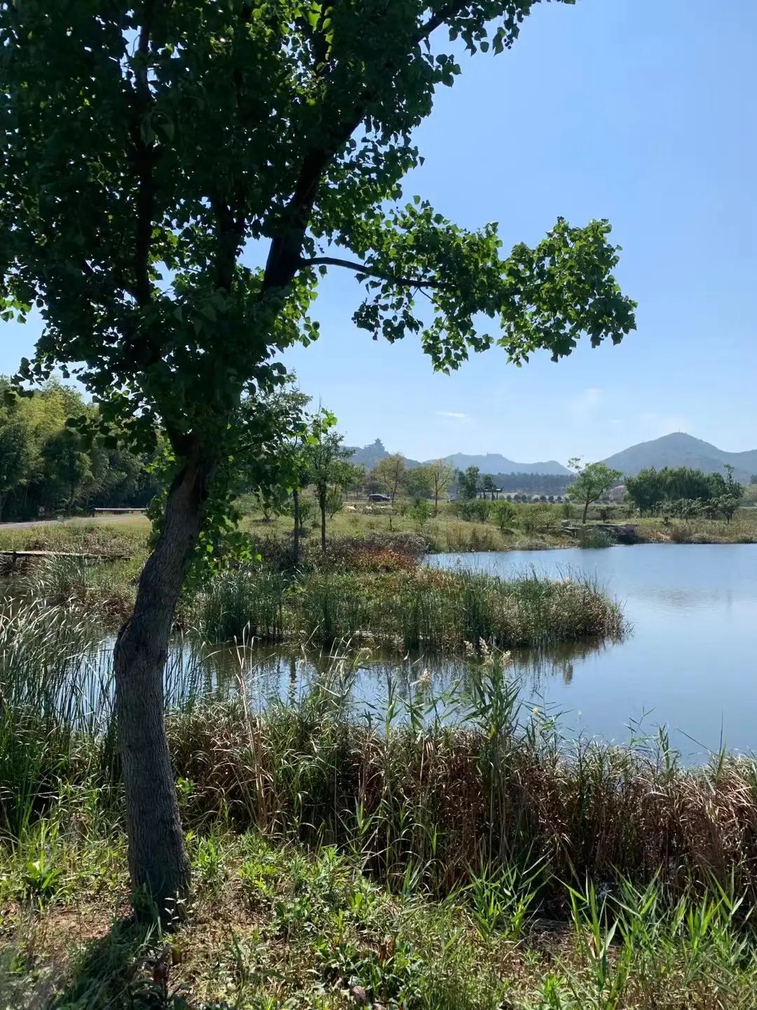 "Five Musts" Autumn Cold - iNEWS