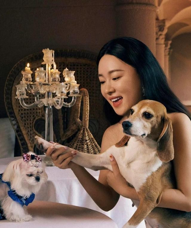 I'm shocked! Huo Siyan took dozens of animals to shoot a magazine, it ...