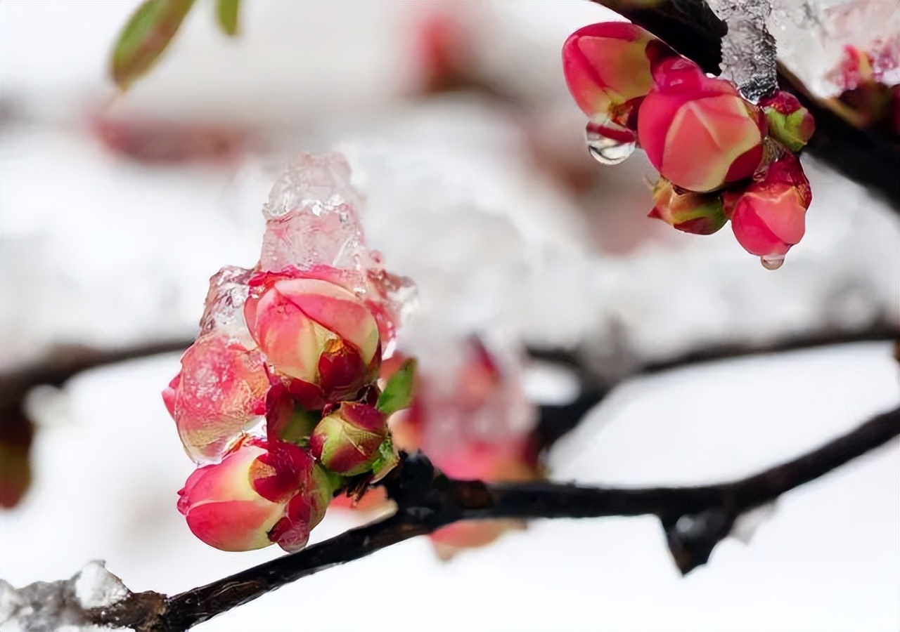 Great Cold (2 Poems) - iNEWS